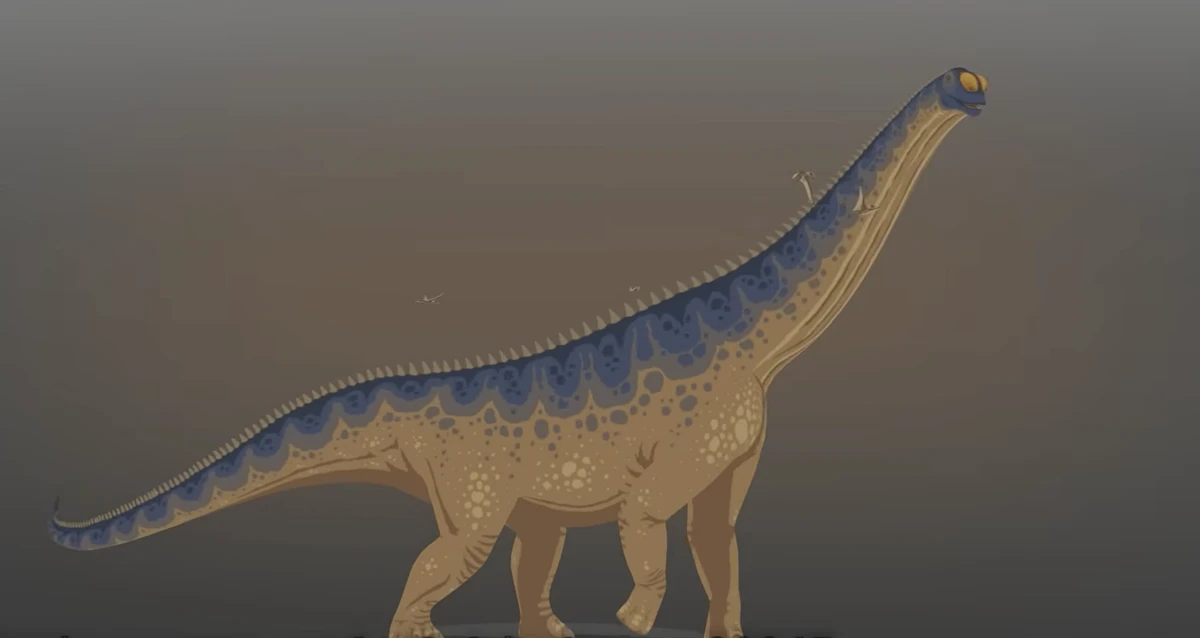 Cetiosaurus | TheDinosauriaSeries Wiki | Fandom