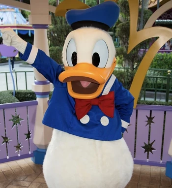 Donald Duck | Disneyland Wiki | Fandom
