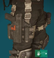 Banshee's Shadow | The Division Wiki | Fandom