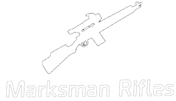Marksman Rifles | The Division Wiki | Fandom