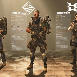 The Division Game Cover