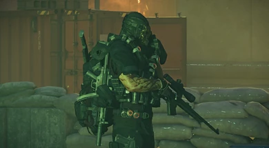 Hunter (Deceit Mask) | The Division Wiki | Fandom