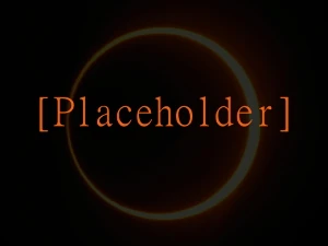 Placeholder - The Division Wiki