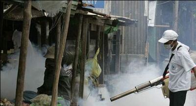 Plot - The Division Wiki