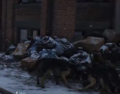 Dogs - The Division Wiki