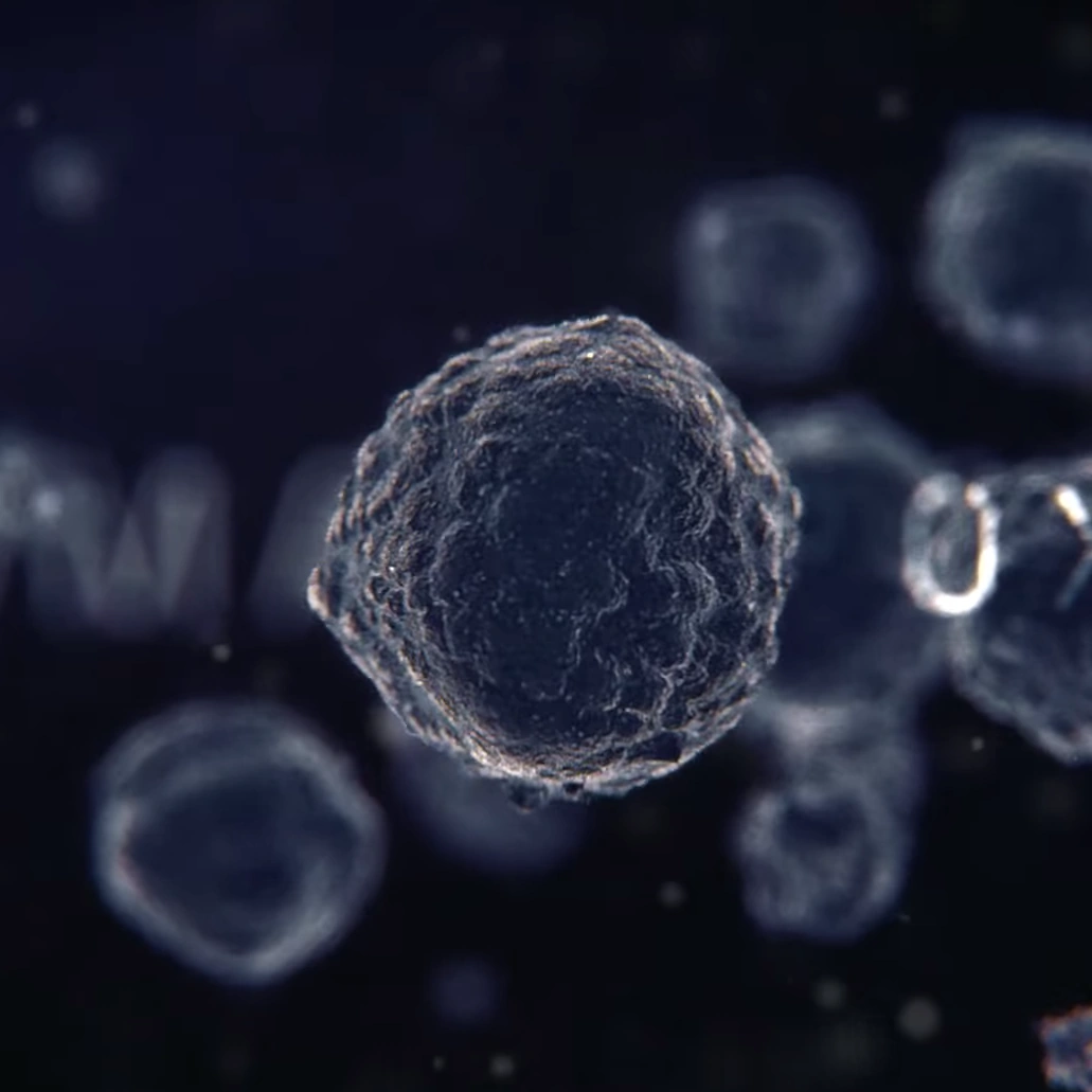 Green Poison | The Division Thailand Wikia | Fandom