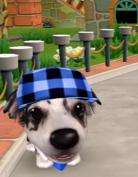 Enzo | THE DOG Island Wikia | Fandom