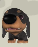 Dachshund | THE DOG Island Wikia | Fandom