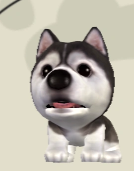 Siberian Husky | THE DOG Island Wikia | Fandom