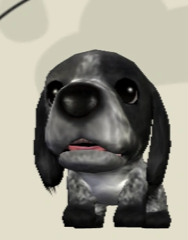 English Cocker Spaniel | THE DOG Island Wikia | Fandom
