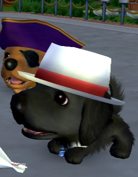 Gustavo | THE DOG Island Wikia | Fandom