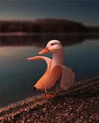 The Duck (Classic Canon) | TheDuckepedia Wiki | Fandom