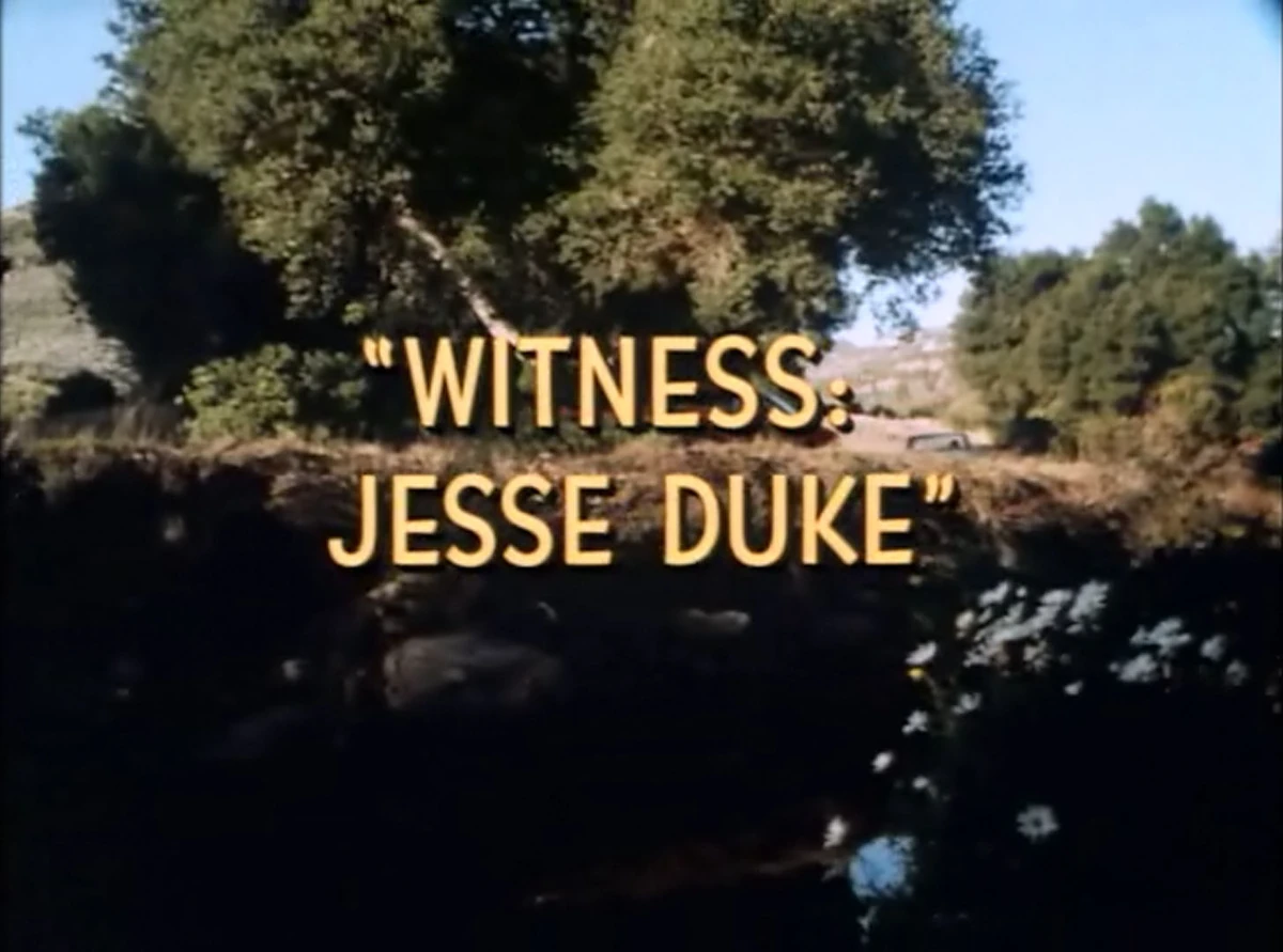 Witness: Jesse Duke | The Dukes of Hazzard Wiki | Fandom