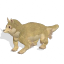 Doge Empire ( Official ) | Thedurous Wiki | Fandom