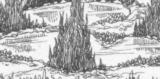 Webfoot Goblin Colonies The Edge Chronicles Wiki Fandom