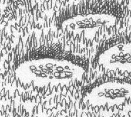 New Villages | The Edge Chronicles wiki | Fandom