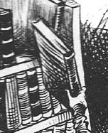 A Study of Banderbears' Behaviour in Their Natural Habitat | The Edge ...