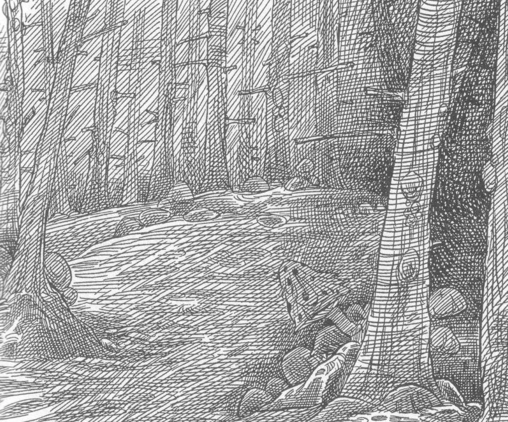 Nightwoods | The Edge Chronicles wiki | Fandom