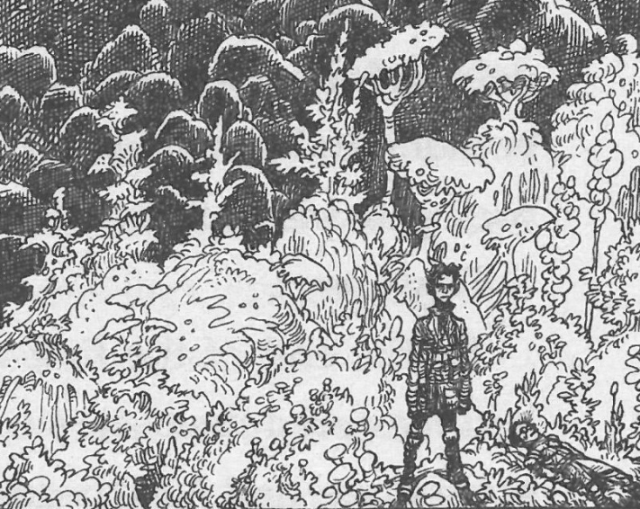 Scree fields | The Edge Chronicles wiki | Fandom Scree fields | The Edge Chronicles wiki | Fandom