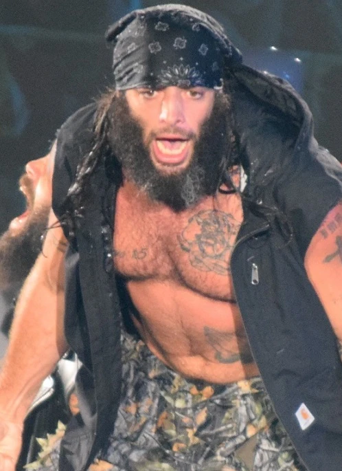 Mark Briscoe | WWE The E-Federation Wiki | Fandom
