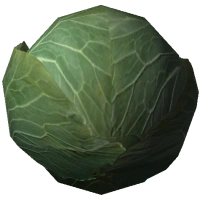 Cabbage | Skyrim: The Elder Craft Minecraft Mod Wiki | Fandom