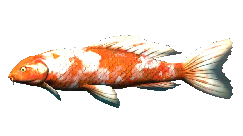 Carpe | Wiki The Elder Scrolls | Fandom