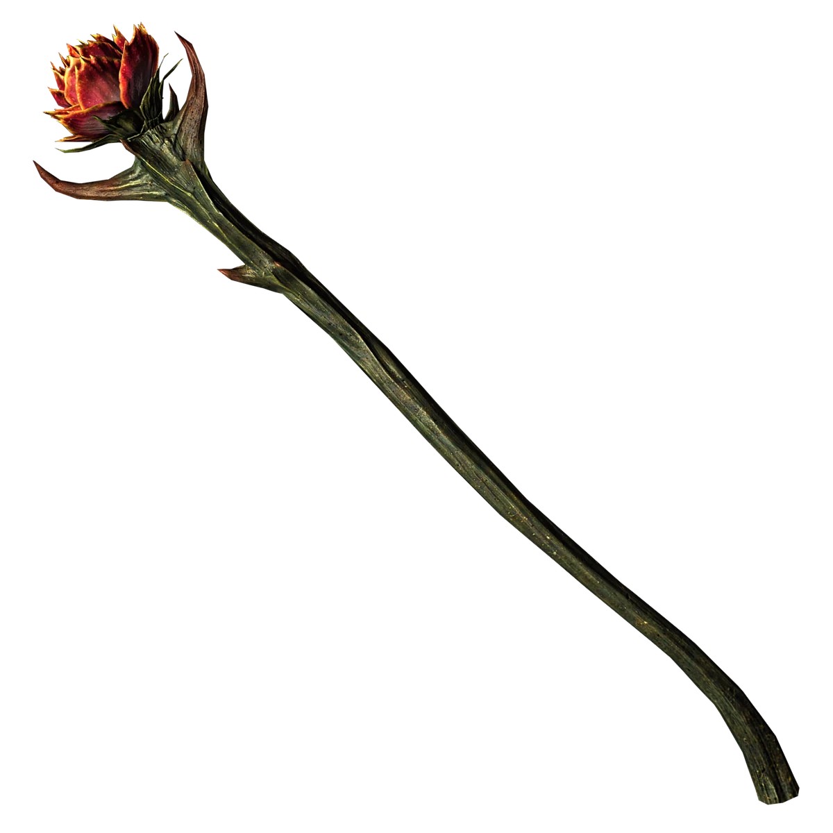 Rose Sanguine | Wiki The Elder Scrolls | Fandom