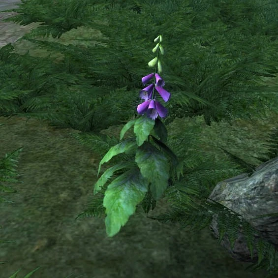 Digitale | Wiki The Elder Scrolls | Fandom