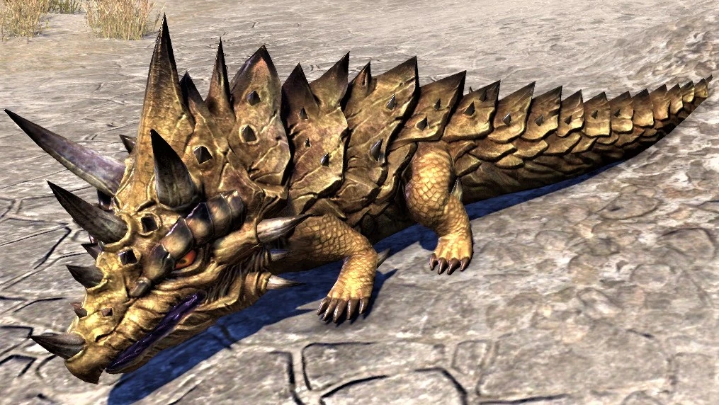 Coureur des Dunes | Wiki The Elder Scrolls | Fandom