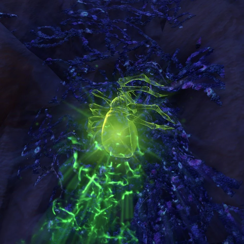 Shagrath | Wiki The Elder Scrolls | Fandom