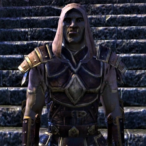 Bandits des Soleils Rouges | Wiki The Elder Scrolls | Fandom