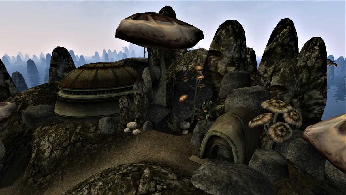 Vas | Wiki The Elder Scrolls | Fandom