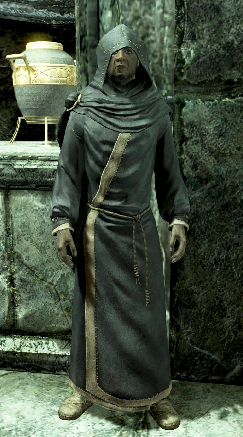 Synode | Wiki The Elder Scrolls | Fandom