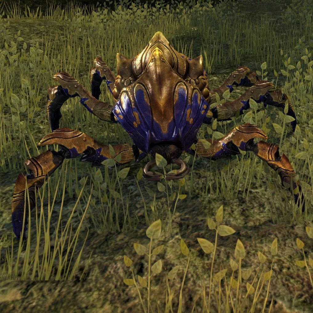 Foudroptère | Wiki The Elder Scrolls | Fandom