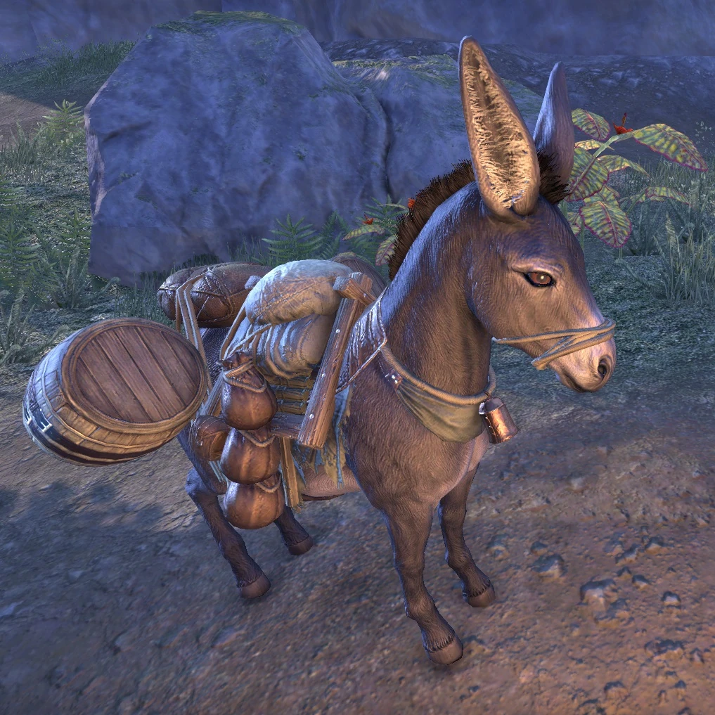 Âne | Wiki The Elder Scrolls | Fandom