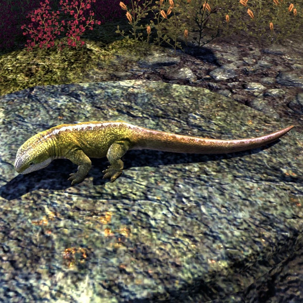 Lézard | Wiki The Elder Scrolls | Fandom