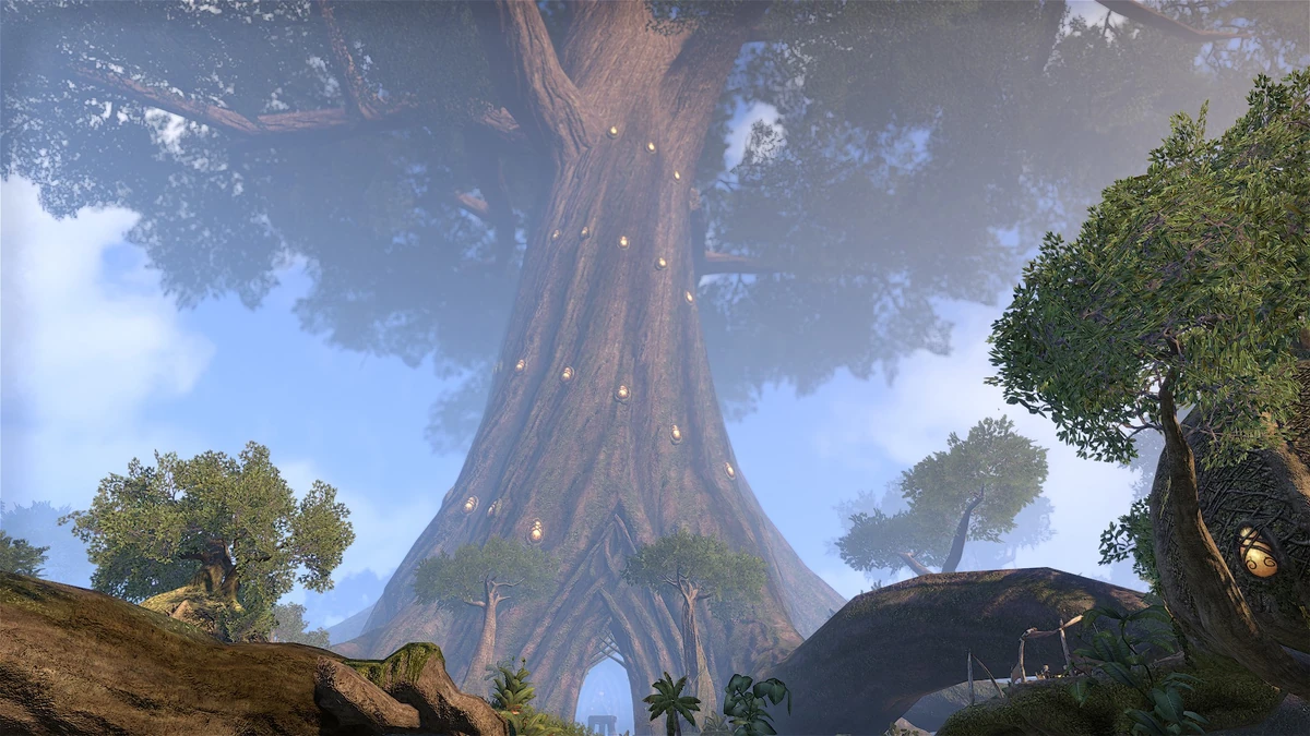 Dynastie Camoran | Wiki The Elder Scrolls | Fandom