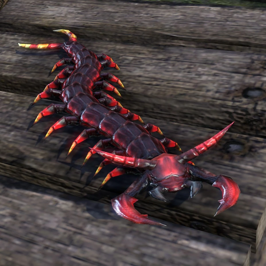 Mille-Pattes | Wiki The Elder Scrolls | Fandom