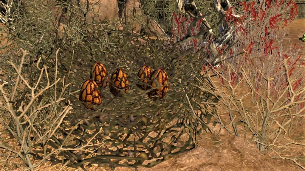 Harpie | Wiki The Elder Scrolls | Fandom