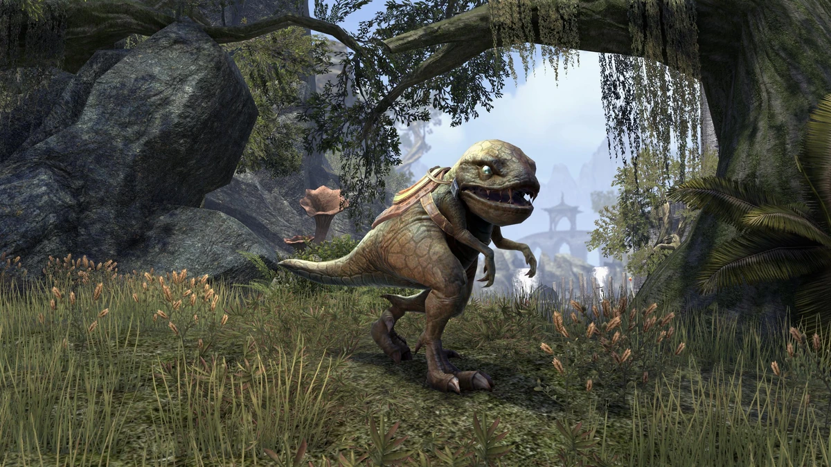 Narsis | Wiki The Elder Scrolls | Fandom