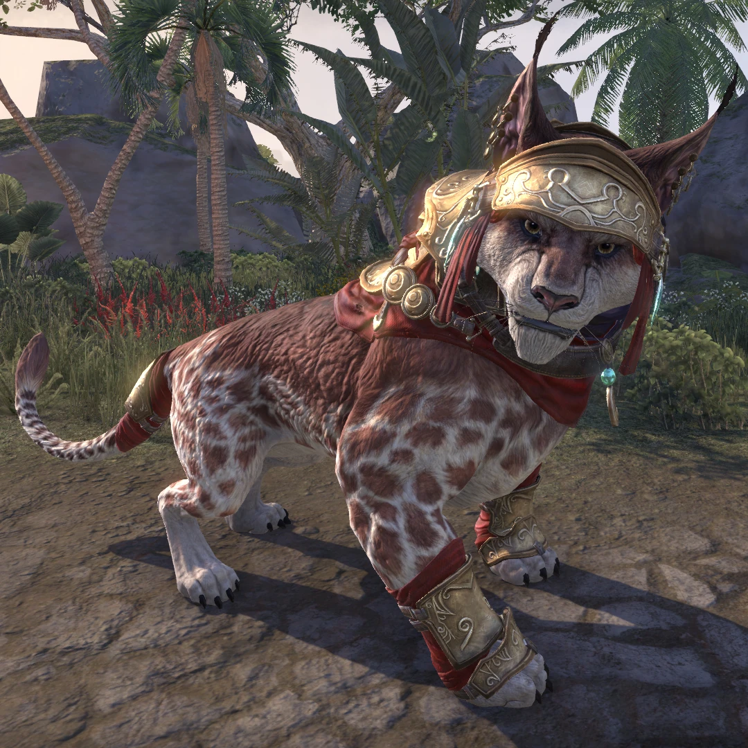 Caska | Wiki The Elder Scrolls | Fandom