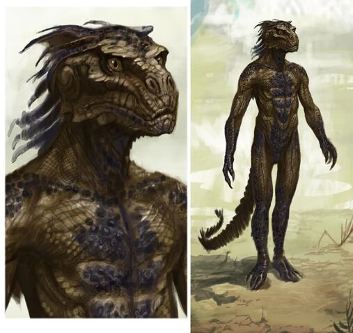 Argonián (Skyrim) | The Elder Scrolls Wiki | Fandom