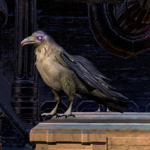 Exarques de Dross | Wiki The Elder Scrolls | Fandom