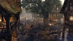 Leyawiin | Wiki The Elder Scrolls | Fandom