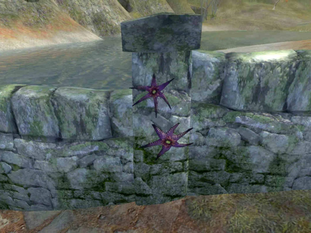 Fleur d'Aster | Wiki The Elder Scrolls | Fandom