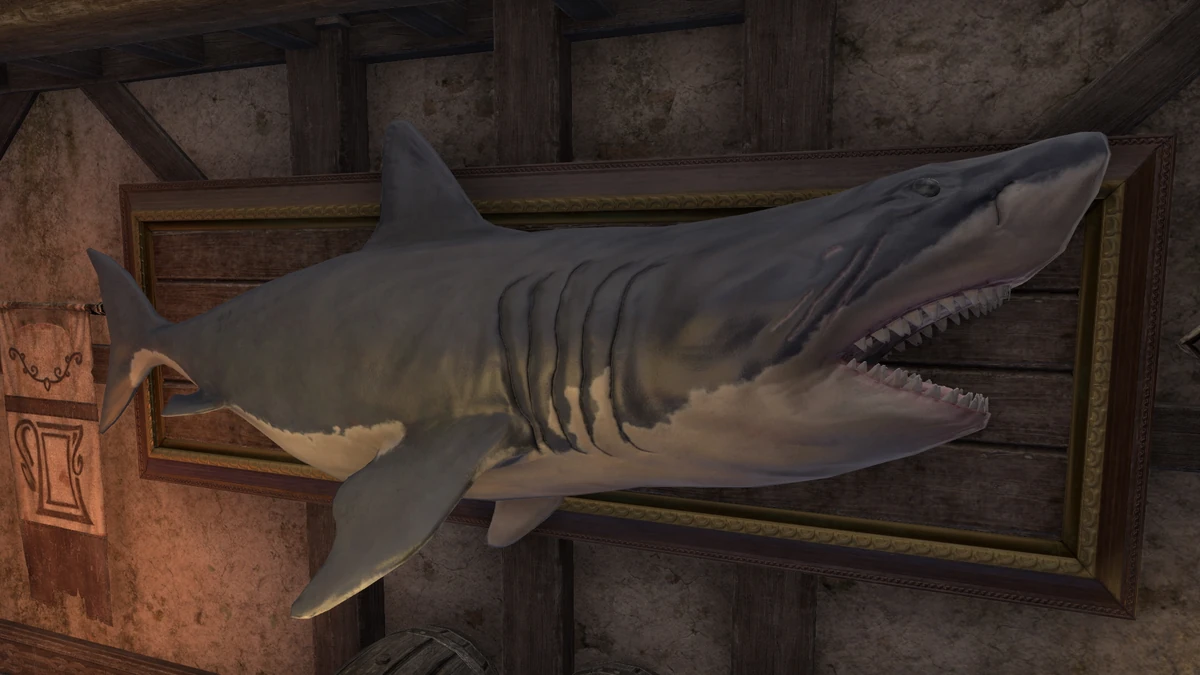 Requin | Wiki The Elder Scrolls | Fandom