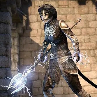 Braise | Wiki The Elder Scrolls | Fandom