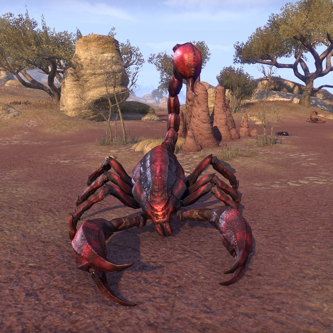 Scorpion Wiki The Elder Scrolls Fandom