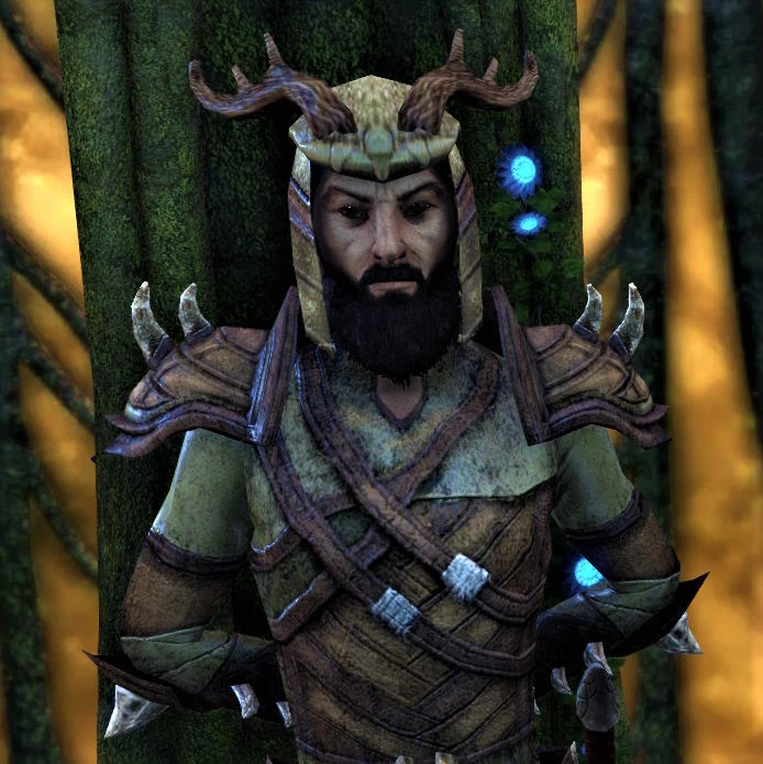 Aeradan Camoran | Wiki The Elder Scrolls | Fandom