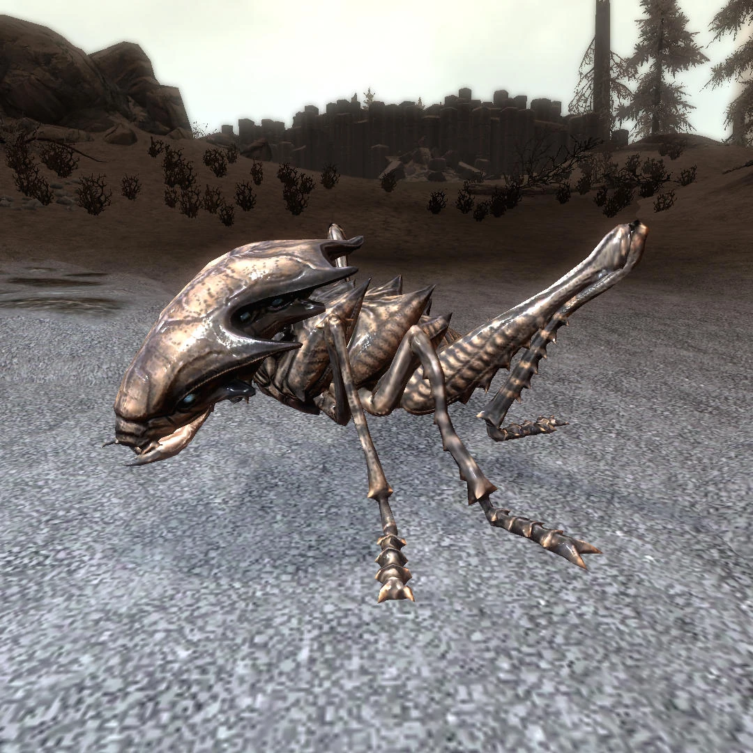 Sautecendre | Wiki The Elder Scrolls | Fandom